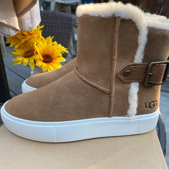 UGG | Shoes | Ugg Ankle Booties Sizes 8 | Poshmark